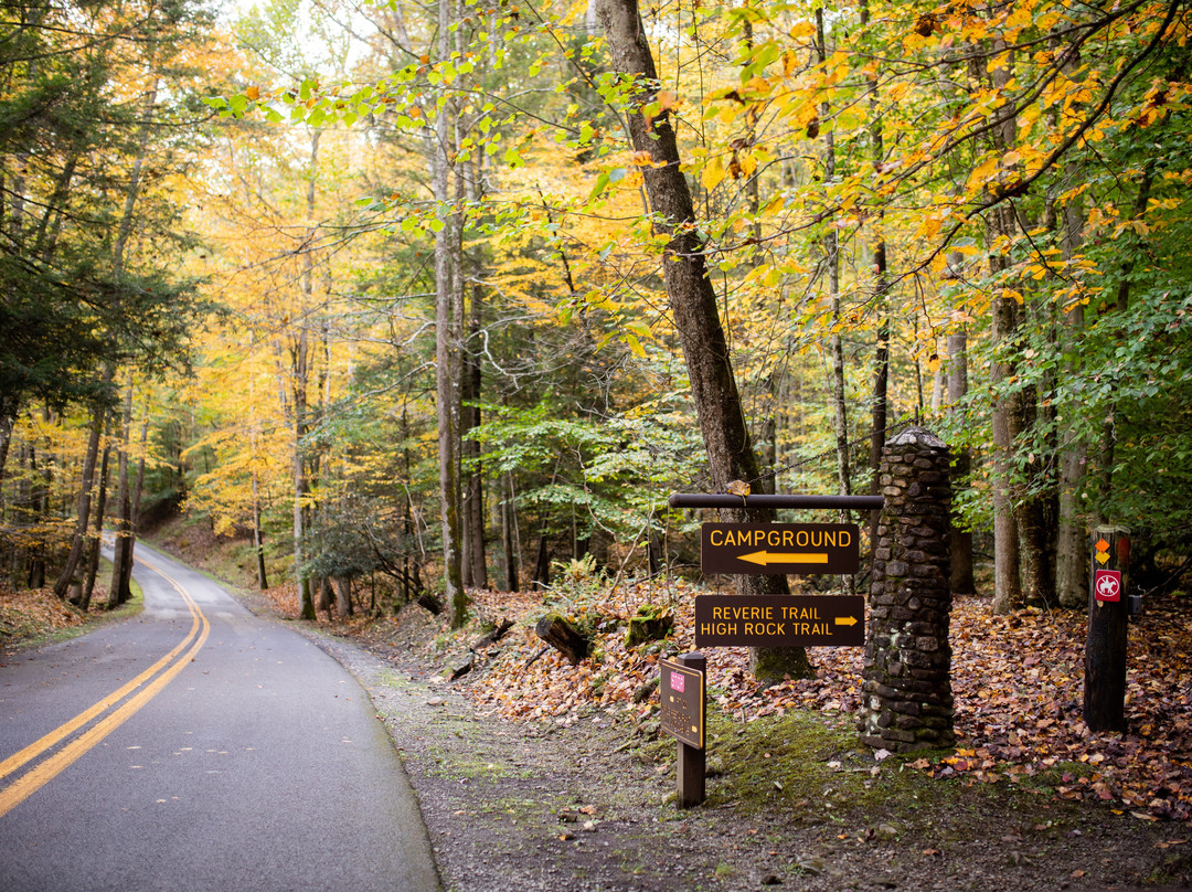 2025年1月Holly River State Park景点攻略-Holly River State Park门票预订|地址|图片 ...