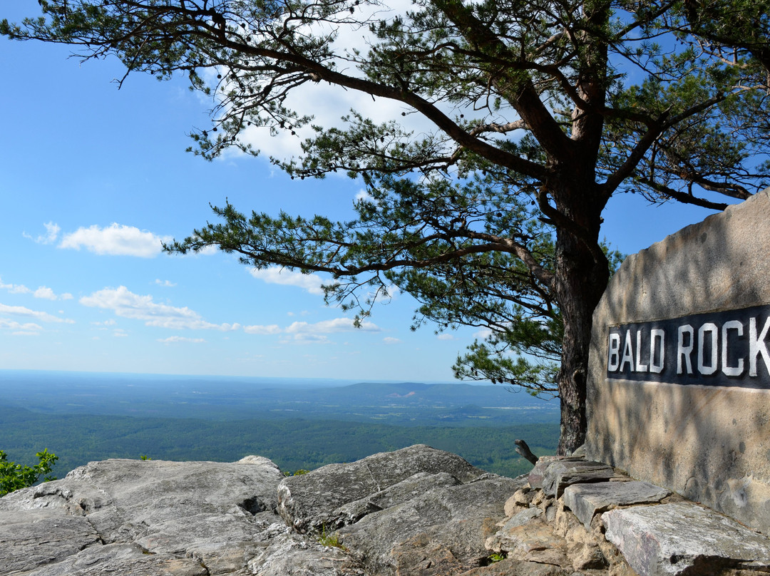 2025年2月Cheaha State Park景点攻略-Cheaha State Park门票预订|地址|图片-Cheaha State ...