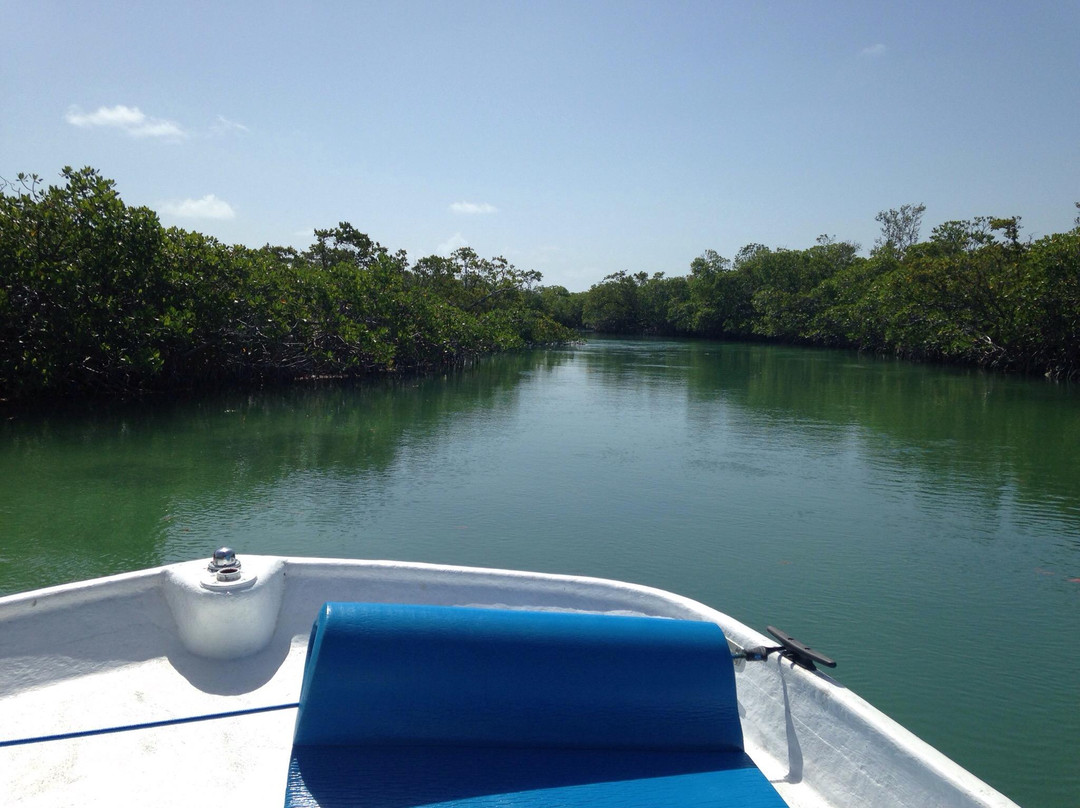 2024年3月Elliott Key景点攻略-Elliott Key门票预订|地址|图片-Elliott Key景点点评-猫途鹰