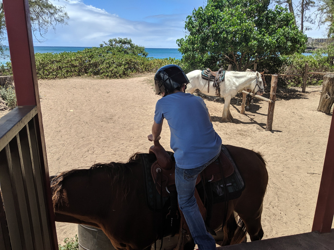 2024年1月Turtle Bay Resort Horse Riding景点攻略-Turtle Bay Resort Horse ...