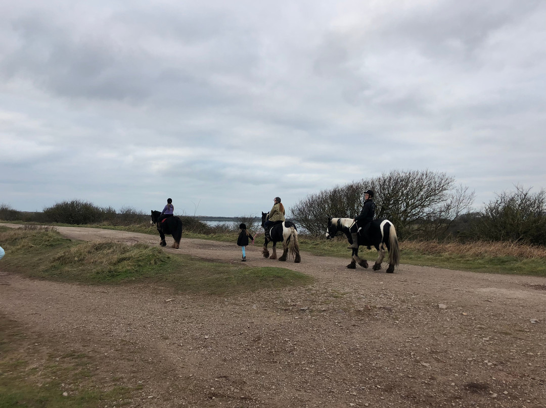 2023年12月RSPB Hodbarrow Nature Reserve景点攻略-RSPB Hodbarrow Nature Reserve ...