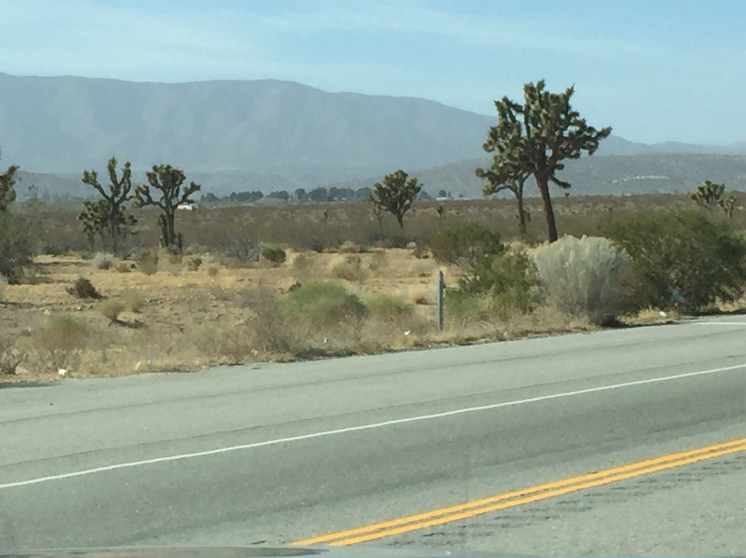 2023年11月Route 138 - Pearblossom Highway景点攻略-Route 138 - Pearblossom ...