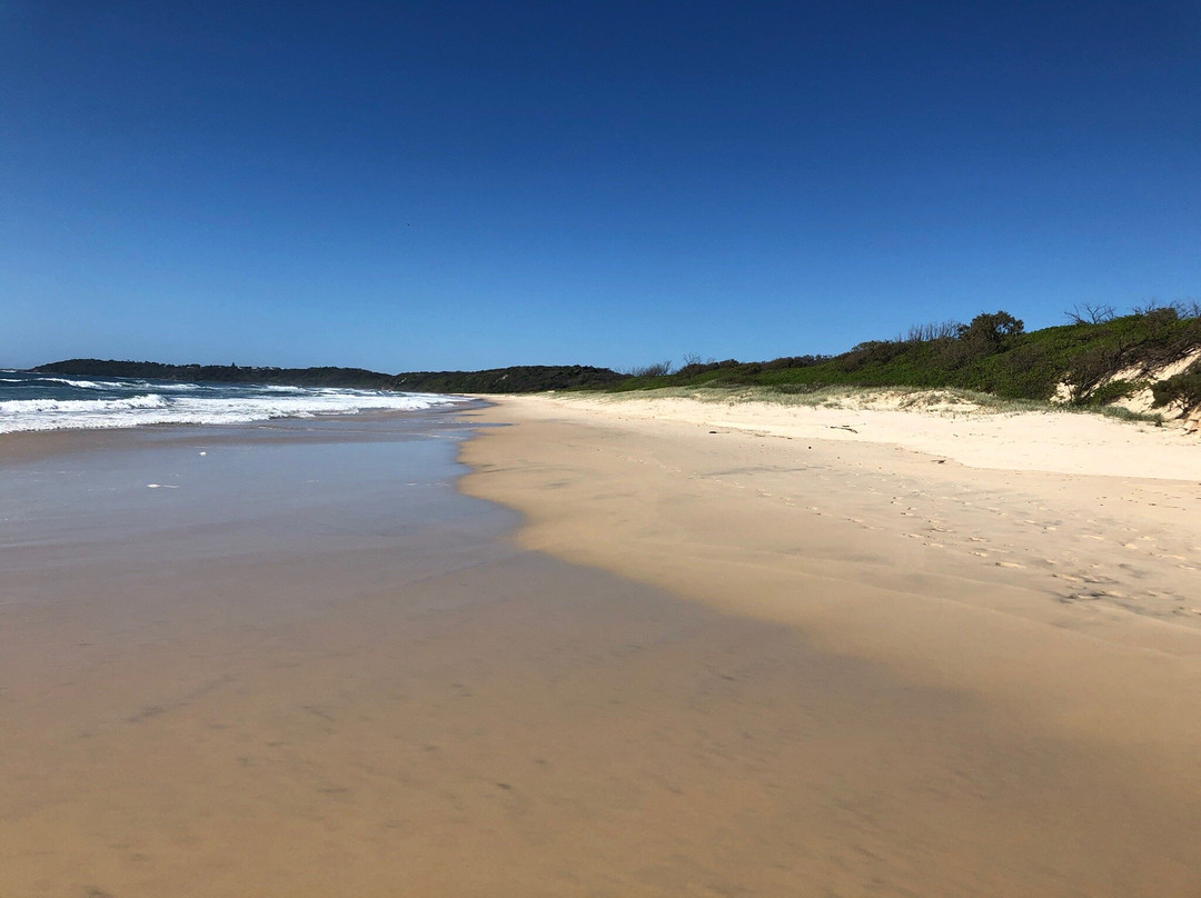 2023年12月Pippi Beach景点攻略-Pippi Beach门票预订|地址|图片-Pippi Beach景点点评-猫途鹰