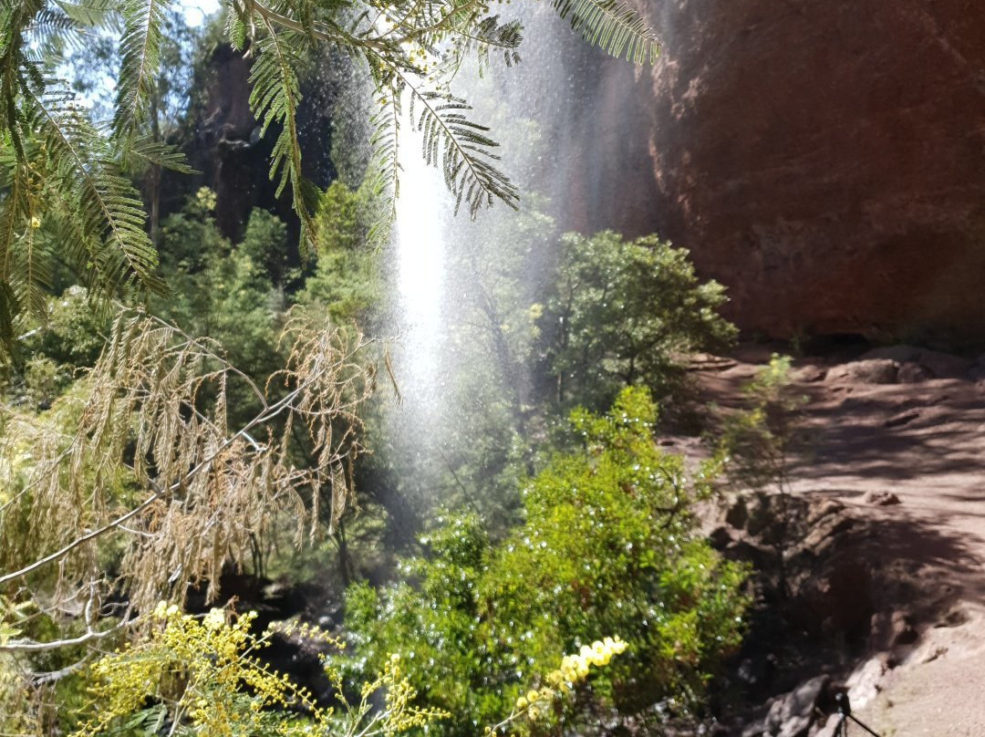 2024年11月Paradise Falls景点攻略-Paradise Falls门票预订|地址|图片-Paradise Falls景点点评-猫途鹰