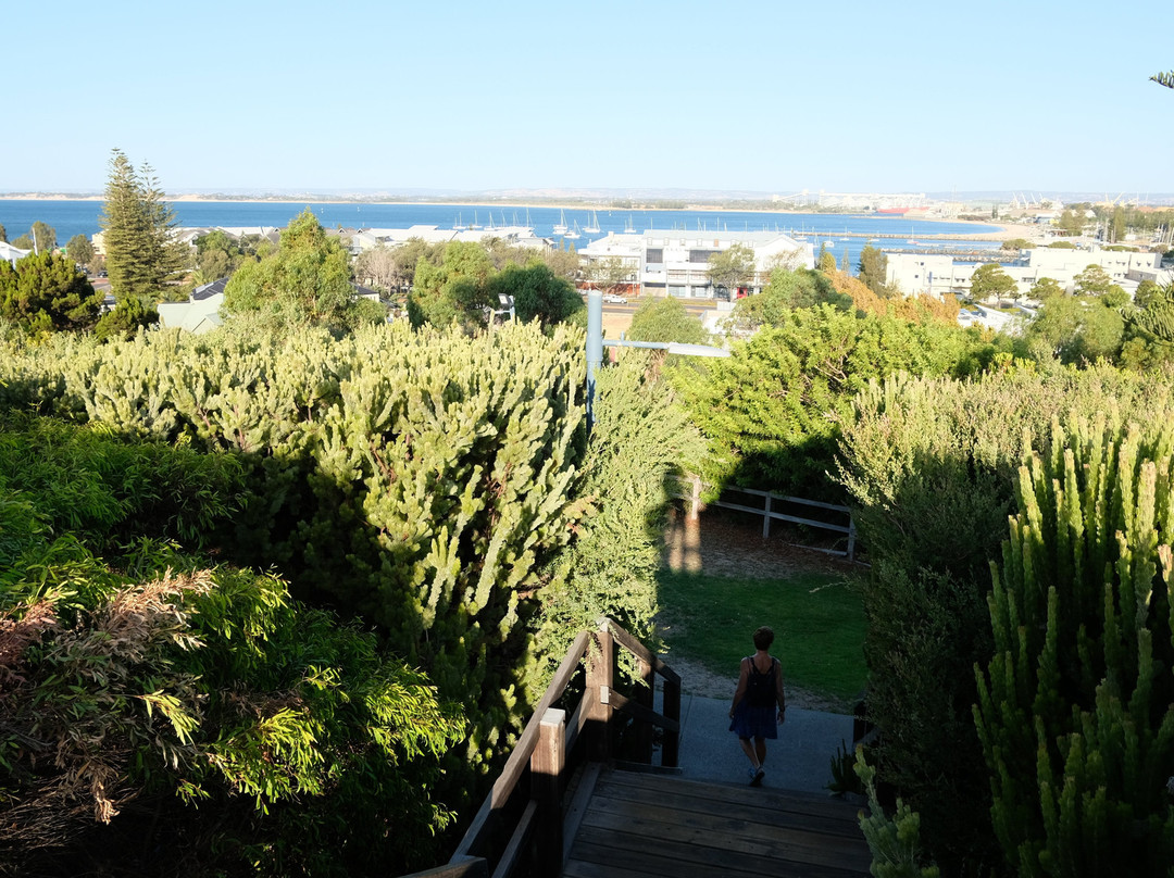 2023年11月Marlston Hill Lookout Tower景点攻略-Marlston Hill Lookout Tower门票预订 ...