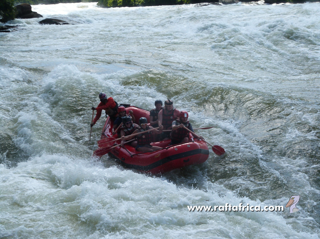 2023年12月Nile River Explorers景点攻略-Nile River Explorers门票预订|地址|图片-Nile ...