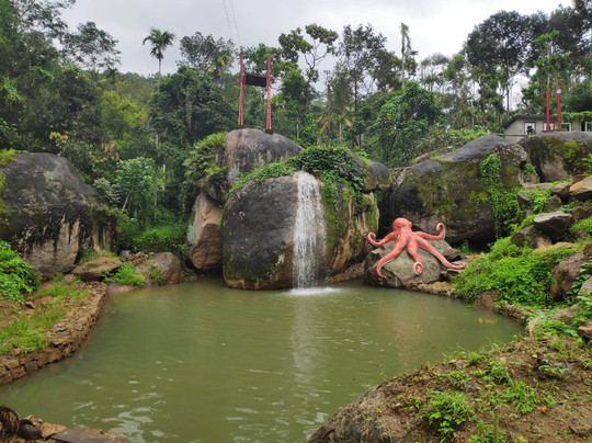 2024年10月Pottankadu景点攻略-Pottankadu旅游必去景点-Pottankadu景点大全-猫途鹰