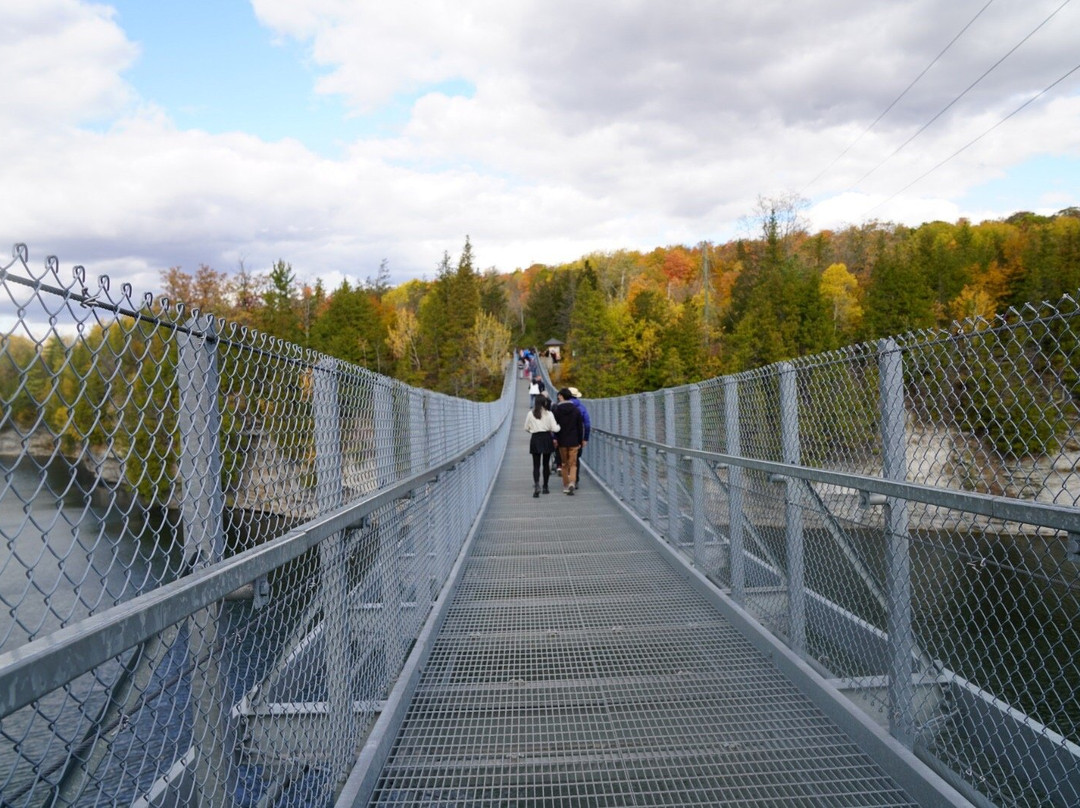 2024年11月Ranney Gorge Suspension Bridge景点攻略-Ranney Gorge Suspension ...