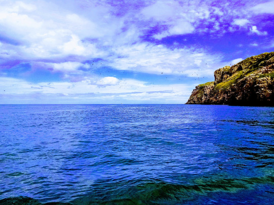 2024年2月Ireland's Eye Ferries景点攻略-Ireland's Eye Ferries门票预订|地址|图片 ...