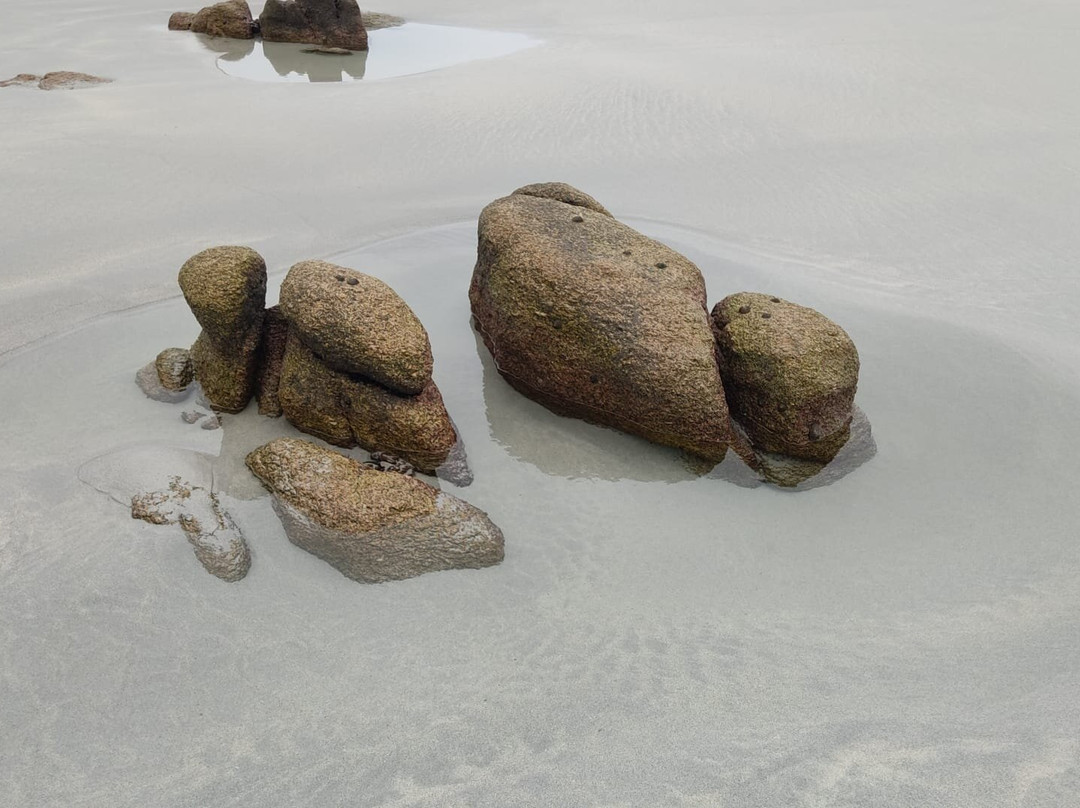 2025年3月Arou景点攻略-Arou旅游必去景点-Arou景点大全-猫途鹰