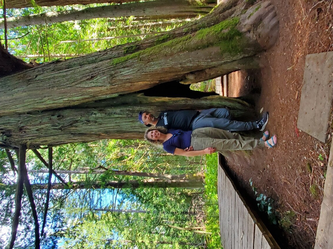 2025年8月Elder Cedar Nature Preserve景点攻略-Elder Cedar Nature Preserve门票预订 ...