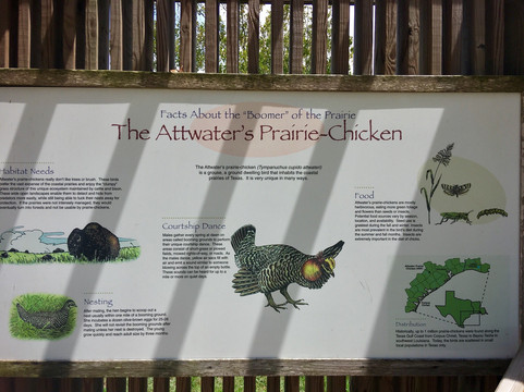 2023年12月Attwater Prairie Chicken National Wildlife Refuge景点攻略-Attwater ...