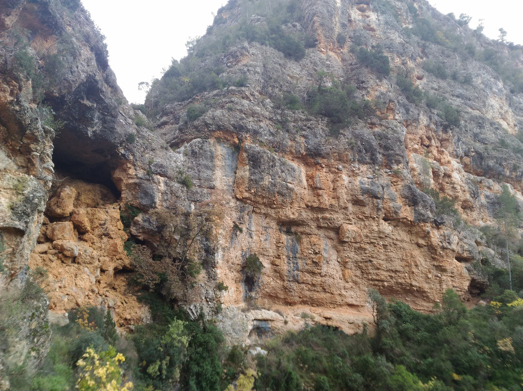 2024年10月Jalance旅游景点攻略-Jalance旅游住宿,-Jalance旅游美食-猫途鹰