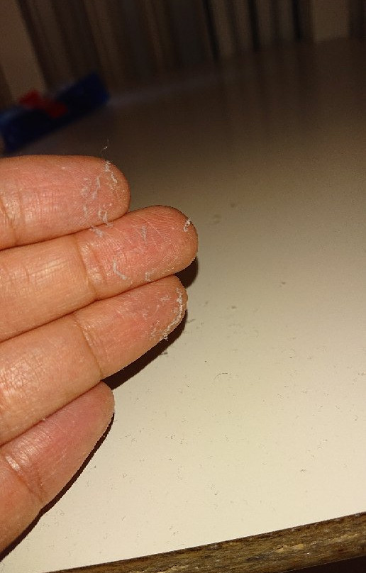 2024年1月Ofterdingen旅游景点攻略-Ofterdingen旅游住宿,-Ofterdingen旅游美食-猫途鹰