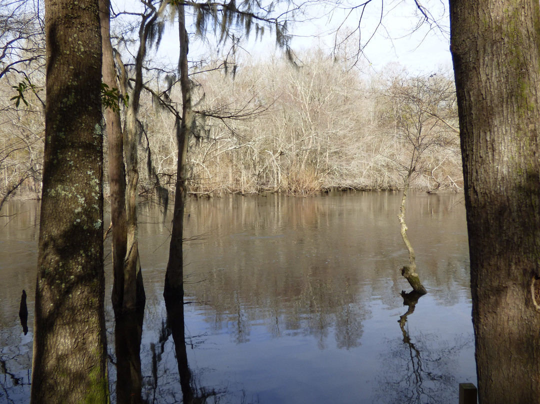 2023年11月Colleton State Park景点攻略-Colleton State Park门票预订|地址|图片-Colleton ...