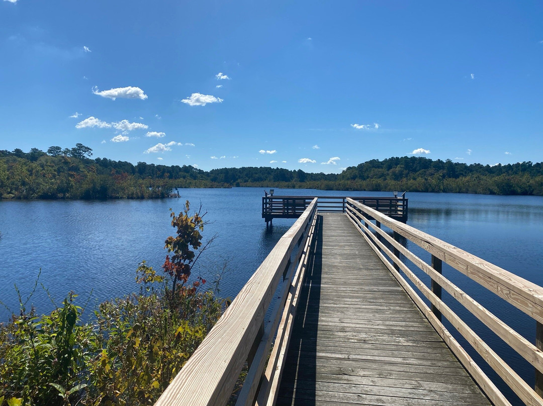 2023年12月Prime Hook National Wildlife Refuge景点攻略-Prime Hook National ...