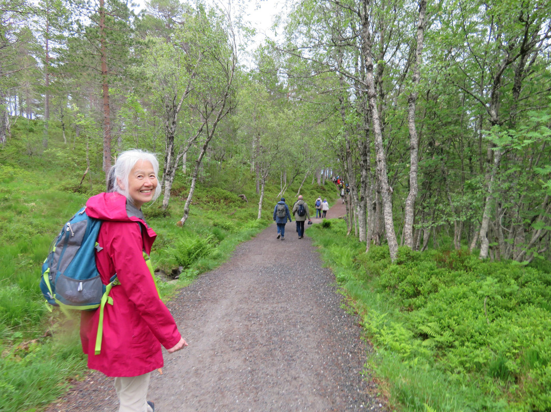 2025年10月Varden the Molde Panorama景点攻略-Varden the Molde Panorama门票预订|地址 ...