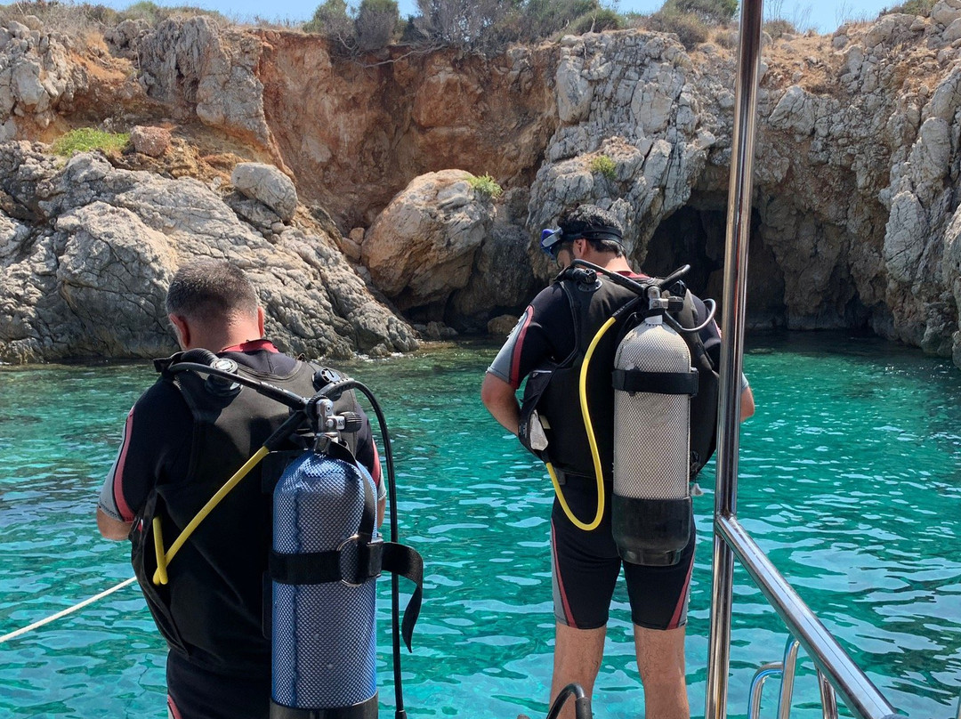 2025年2月Blue World Diving Center景点攻略-Blue World Diving Center门票预订|地址|图片 ...