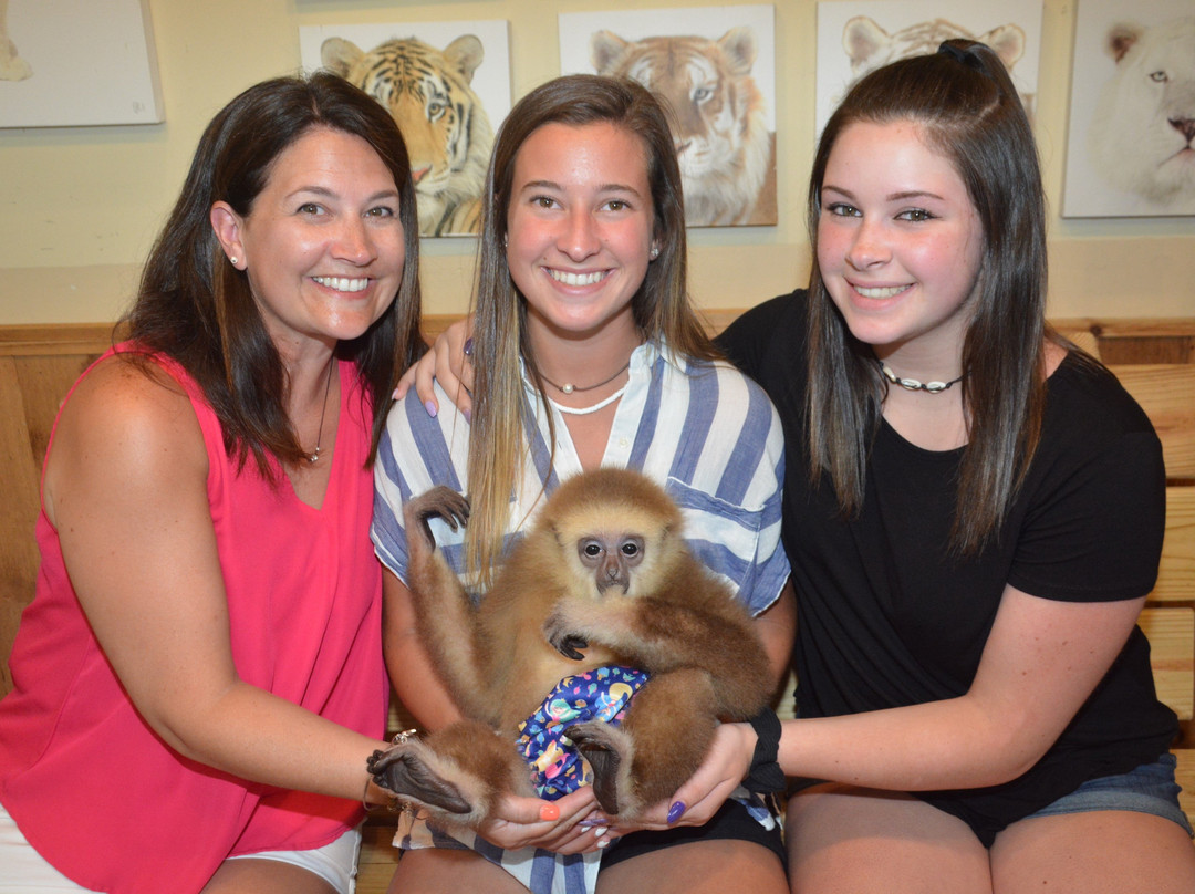 2023年12月Myrtle Beach Safari景点攻略-Myrtle Beach Safari门票预订|地址|图片-Myrtle ...