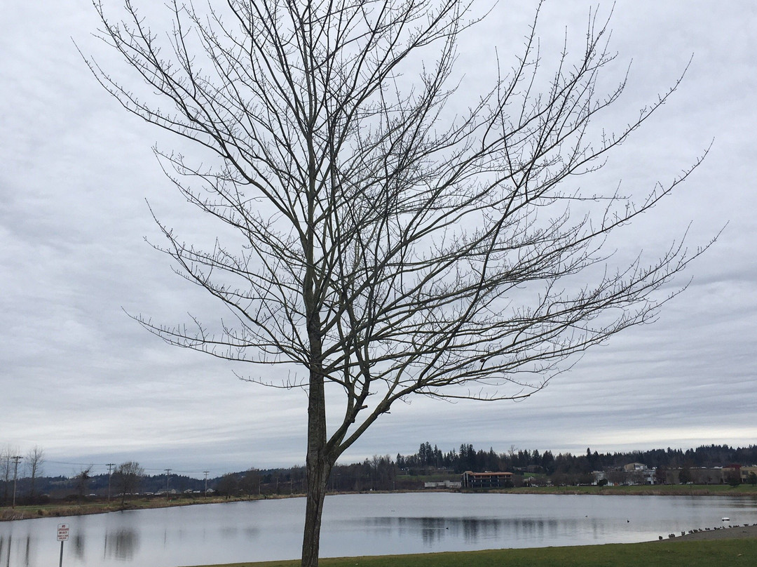 2023年12月Lake Tye Park景点攻略-Lake Tye Park门票预订|地址|图片-Lake Tye Park景点点评-猫途鹰
