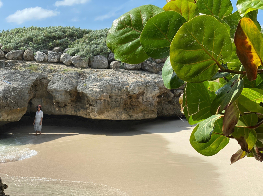 2023年12月Shark hole景点攻略-Shark hole门票预订|地址|图片-Shark hole景点点评-猫途鹰