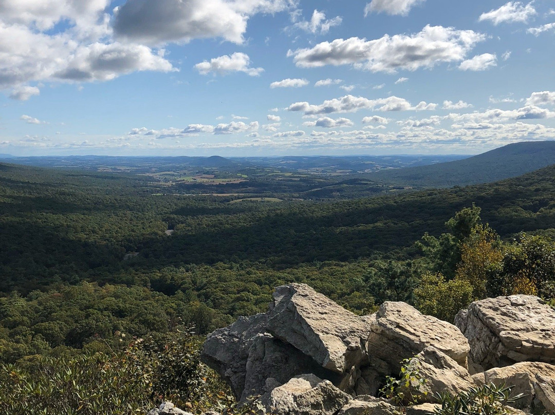 2024年11月Hawk Mountain Sanctuary景点攻略-Hawk Mountain Sanctuary门票预订|地址|图片 ...