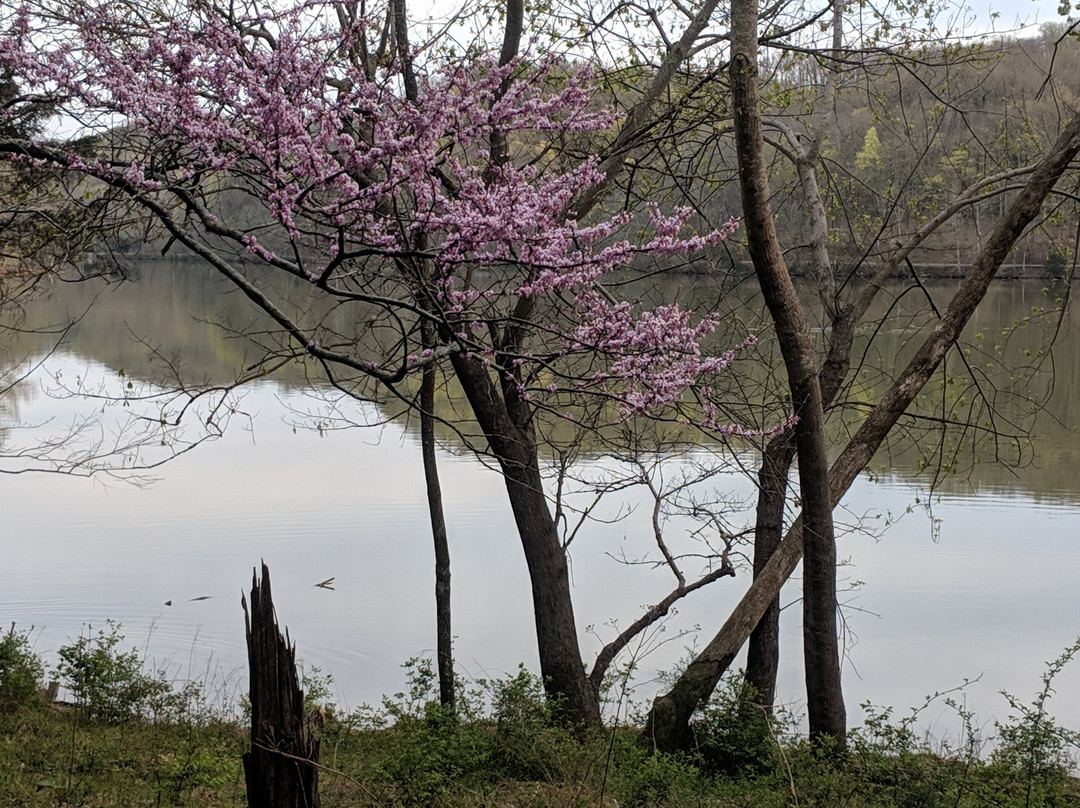 2024年9月Radnor Lake State Park景点攻略-Radnor Lake State Park门票预订|地址|图片 ...