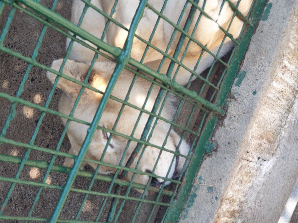 2023年11月Residence Inn Zoo景点攻略-Residence Inn Zoo门票预订|地址|图片-Residence Inn ...