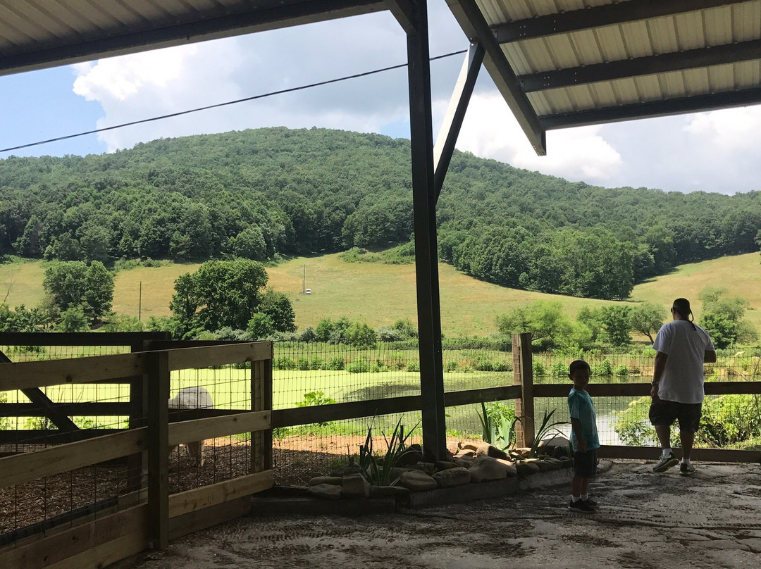 2023年12月Mountain Valley Farm景点攻略-Mountain Valley Farm门票预订|地址|图片 ...