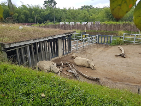 2023年12月Bioparque Ukumari景点攻略-Bioparque Ukumari门票预订|地址|图片-Bioparque ...