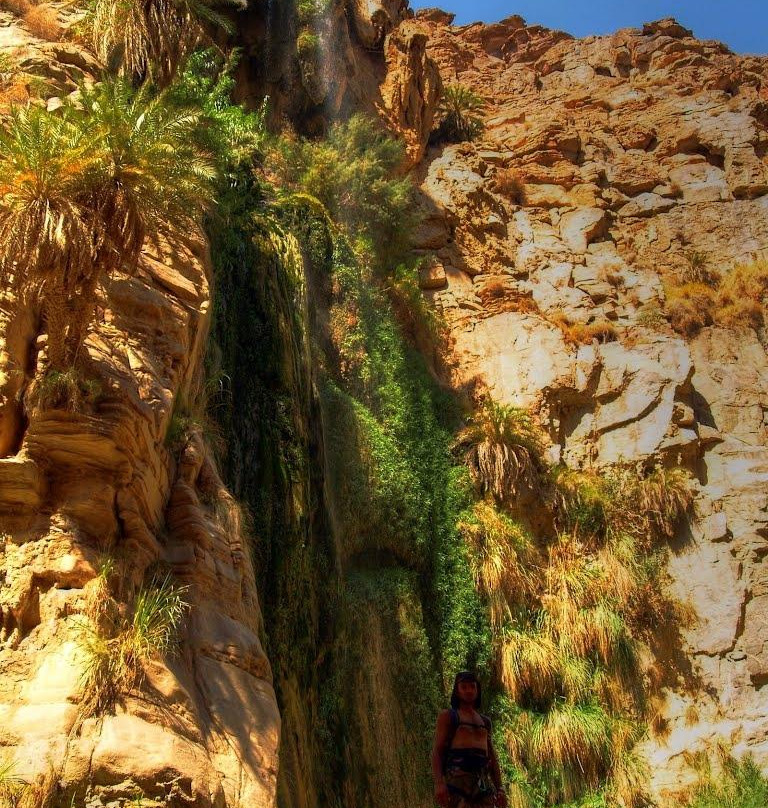 2024年11月Al Mazra旅游景点攻略-Al Mazra旅游住宿,-Al Mazra旅游美食-猫途鹰