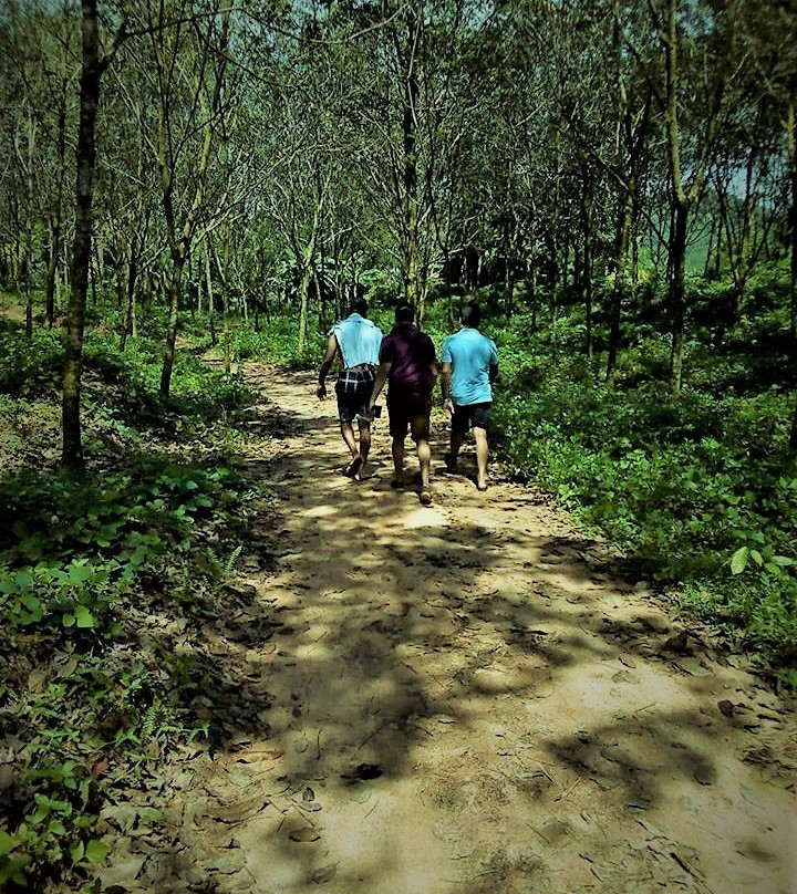 2024年3月Ingiriya旅游景点攻略-Ingiriya旅游住宿,-Ingiriya旅游美食-猫途鹰