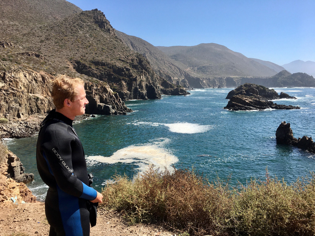 2023年12月Baja Blue Diver景点攻略-Baja Blue Diver门票预订|地址|图片-Baja Blue Diver景点 ...