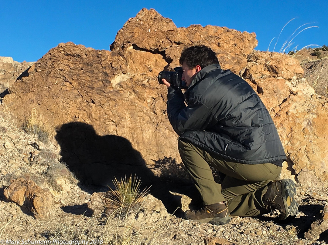 2023年12月Mark Schumann Photo Tours景点攻略-Mark Schumann Photo Tours门票预订|地址 ...