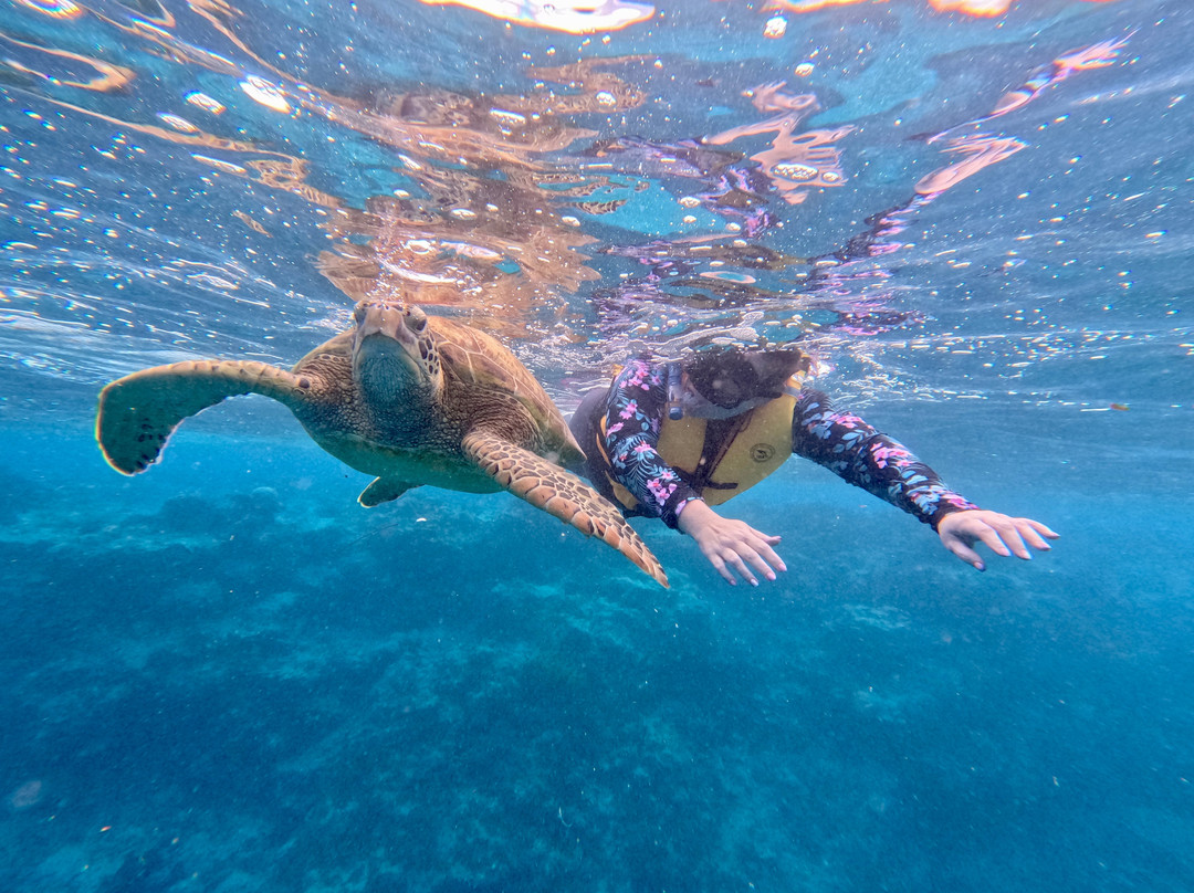 2024年11月Takitumu District景点攻略-Takitumu District旅游必去景点-Takitumu District ...