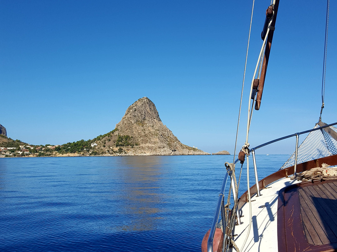 2023年11月Escursioni Team Shark Lanzafame景点攻略-Escursioni Team Shark Lanzafame门票预订|地址|图片-Escursioni ...