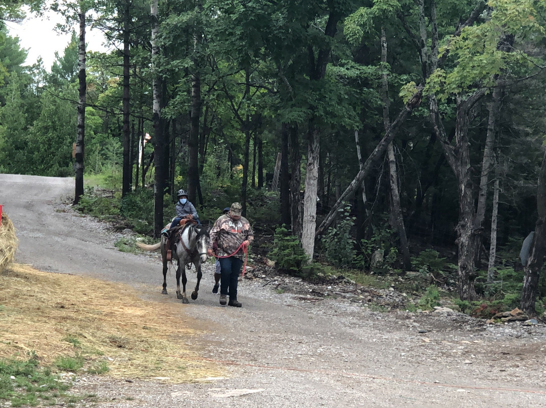 2025年3月Kicking Mule Ranch景点攻略-Kicking Mule Ranch门票预订|地址|图片-Kicking Mule ...