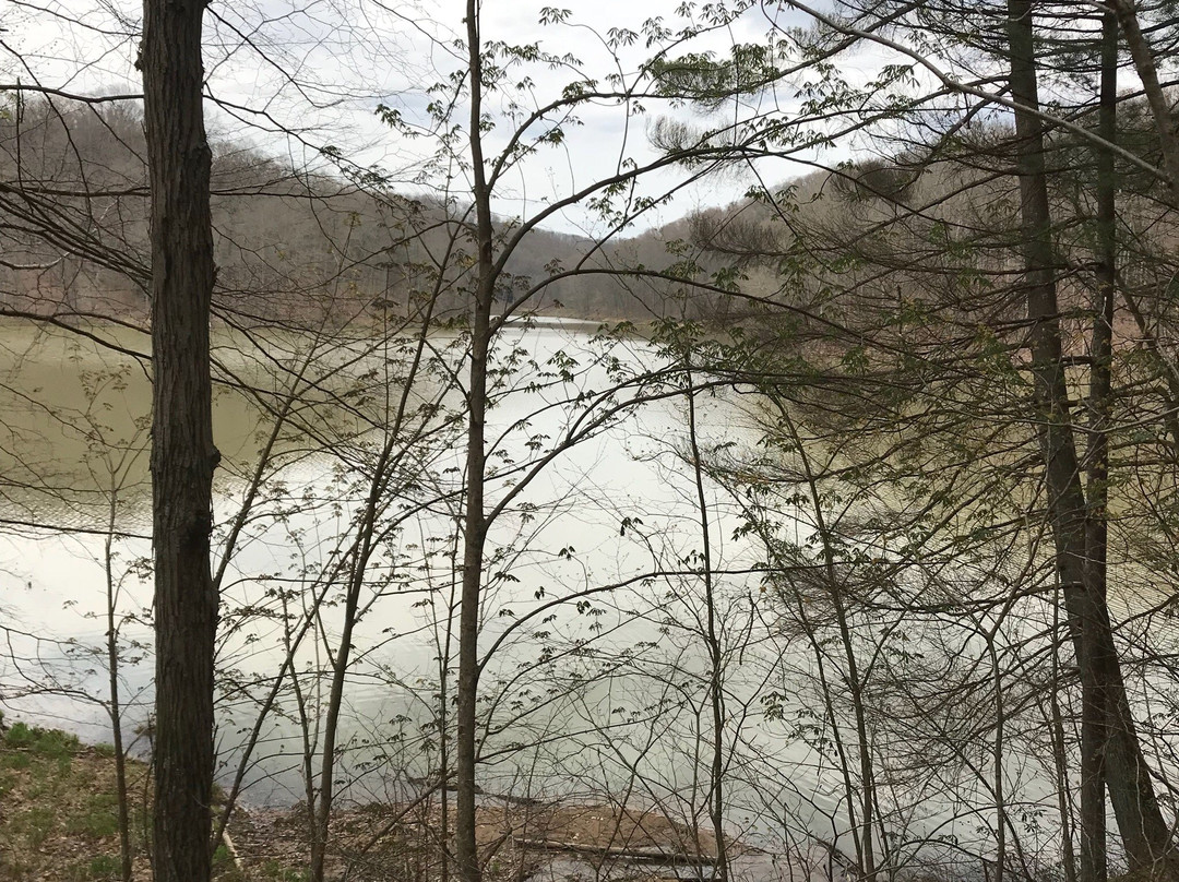 2023年11月Lake Hope State Park景点攻略-Lake Hope State Park门票预订|地址|图片-Lake ...