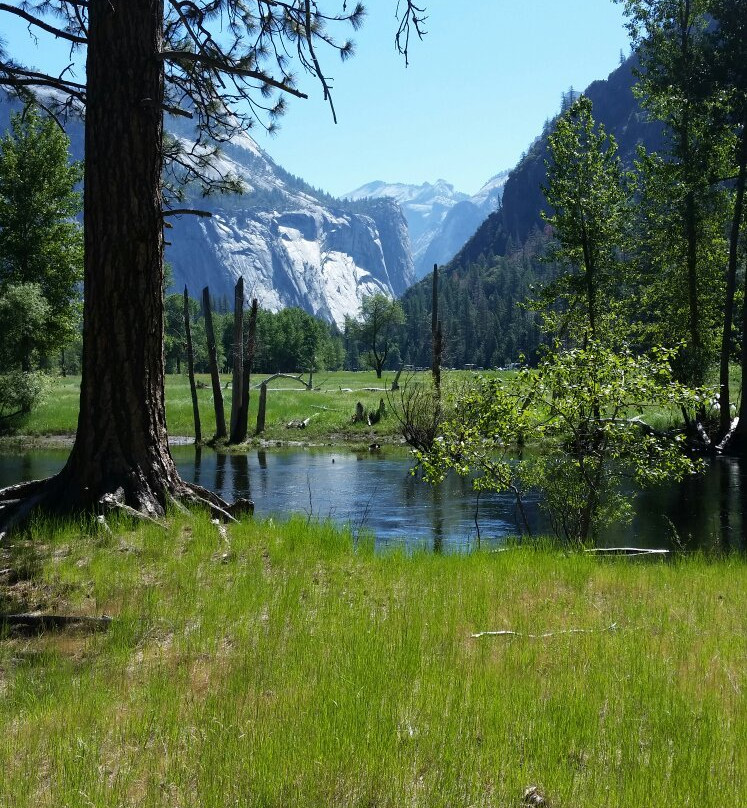 2023年12月Cooks Meadow Loop景点攻略-Cooks Meadow Loop门票预订|地址|图片-Cooks Meadow ...