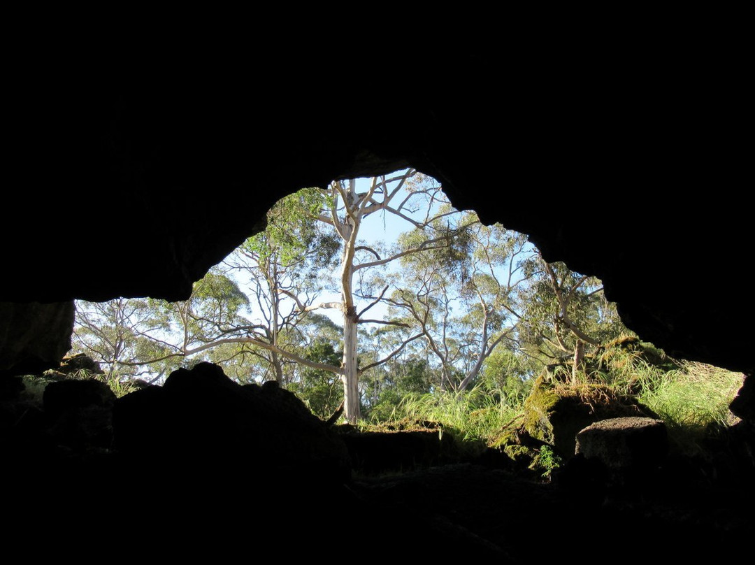 2024年3月Mount Eccles National Park景点攻略-Mount Eccles National Park门票预订|地址 ...