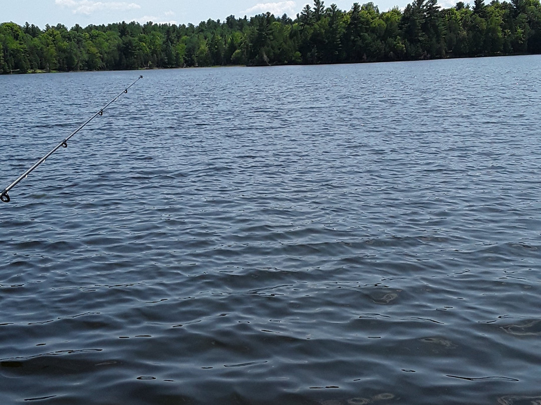 2023年12月Murphys Point Provincial Park景点攻略-Murphys Point Provincial Park ...