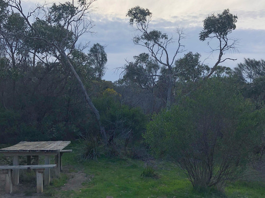 2025年9月Arapiles旅游景点攻略-Arapiles旅游住宿,-Arapiles旅游美食-猫途鹰