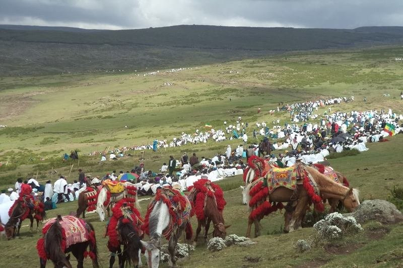 2024年10月Dembecha旅游景点攻略-Dembecha旅游住宿,-Dembecha旅游美食-猫途鹰