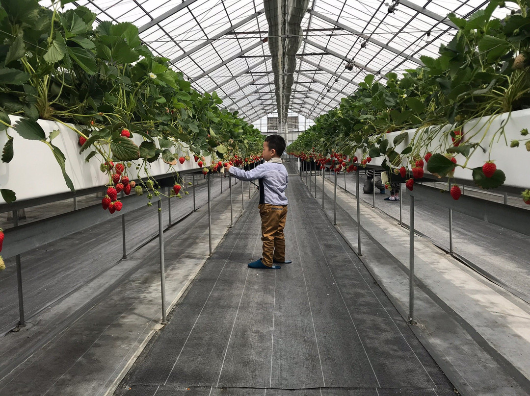 2024年3月GrandBerry景点攻略-GrandBerry门票预订|地址|图片-GrandBerry景点点评-猫途鹰