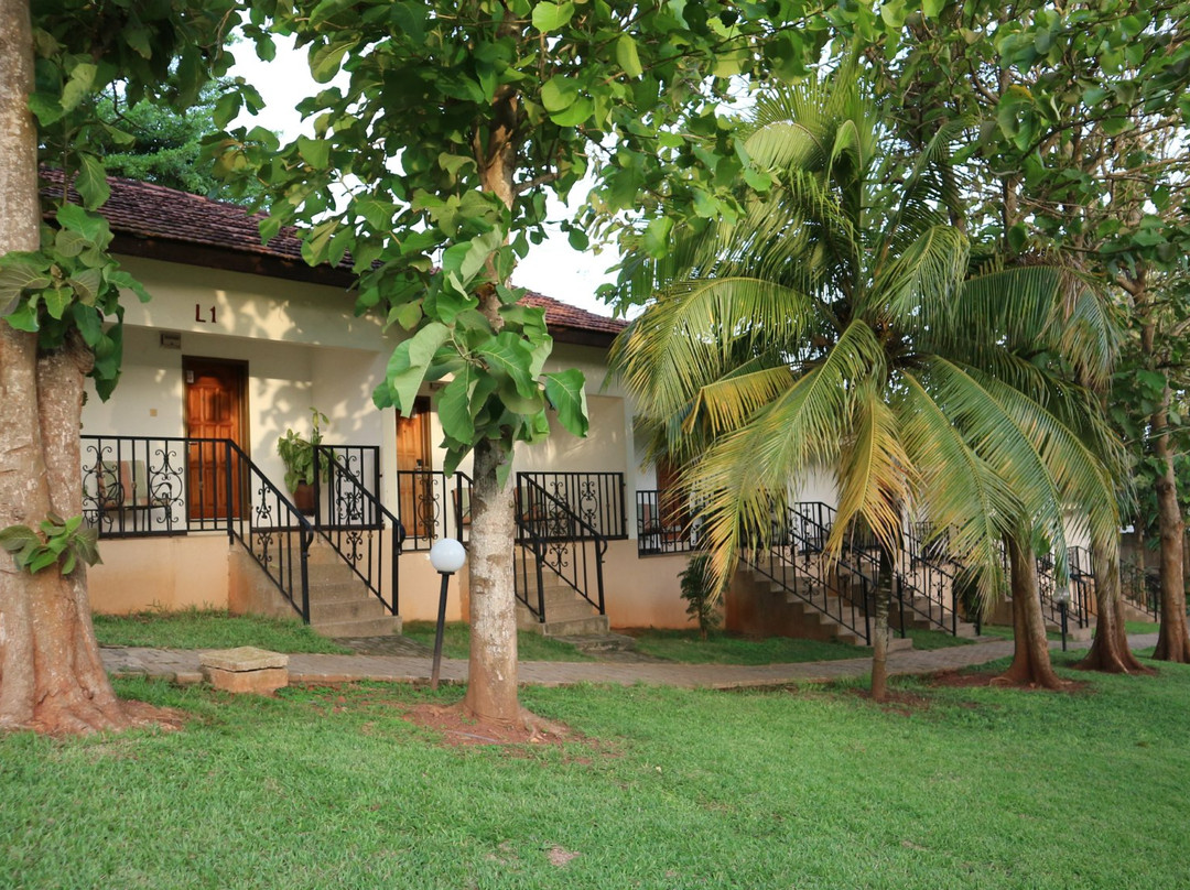 2024年3月Mankesim旅游景点攻略-Mankesim旅游住宿,-Mankesim旅游美食-猫途鹰