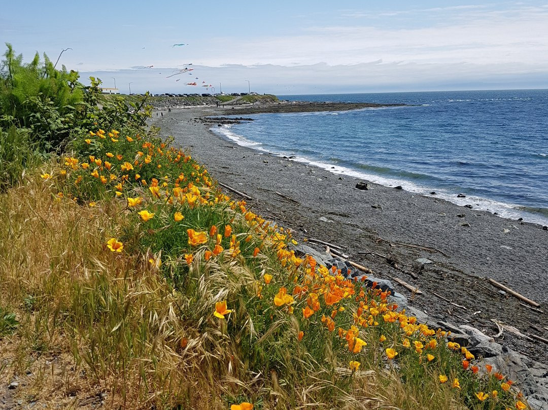2024年10月Clover Point Park景点攻略-Clover Point Park门票预订|地址|图片-Clover Point ...