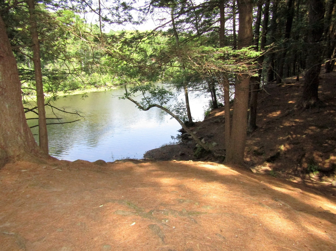 2025年8月Bradley Palmer State Park景点攻略-Bradley Palmer State Park门票预订|地址 ...