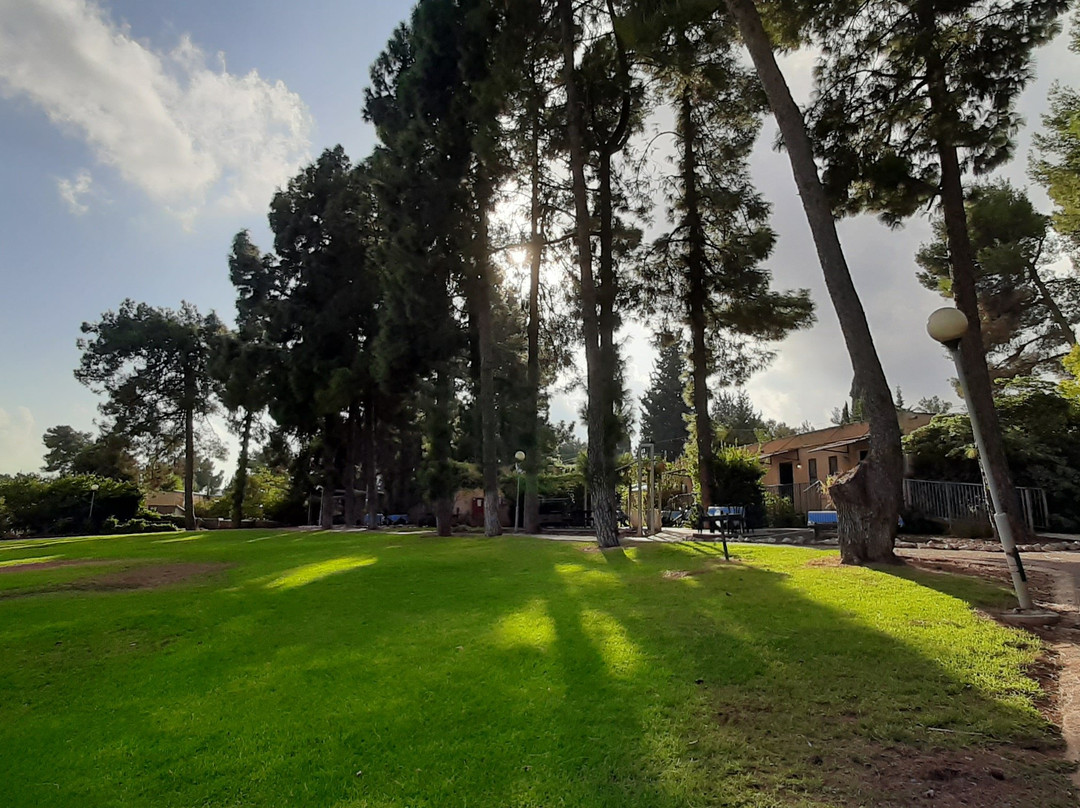 2025年5月Malkiya旅游景点攻略-Malkiya旅游住宿,-Malkiya旅游美食-猫途鹰