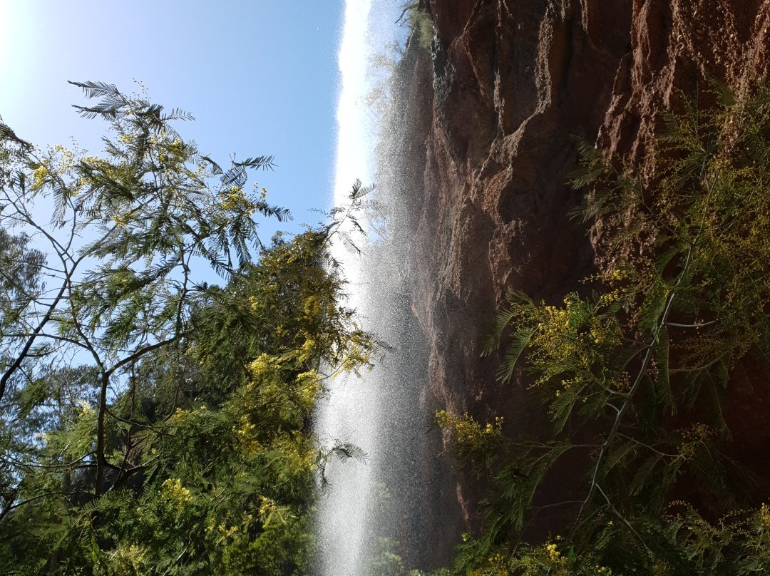 2024年11月Paradise Falls景点攻略-Paradise Falls门票预订|地址|图片-Paradise Falls景点点评-猫途鹰