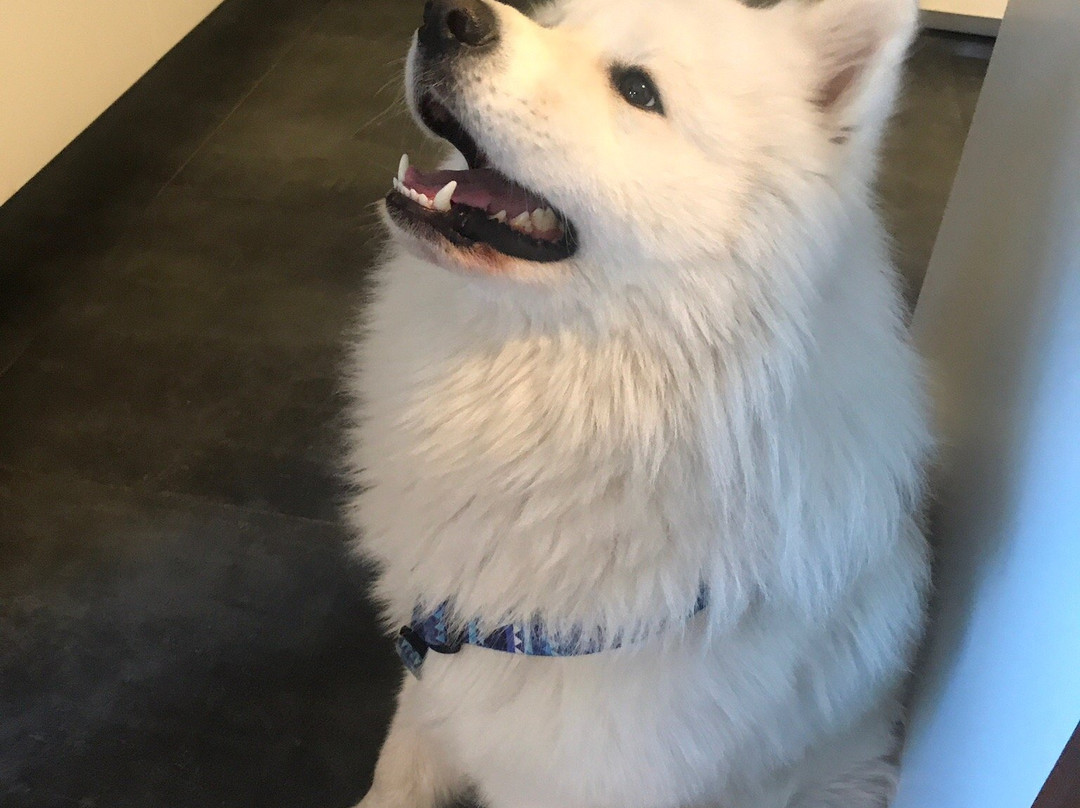 2023年12月Glody旅游景点攻略-Glody旅游住宿,-Glody旅游美食-猫途鹰